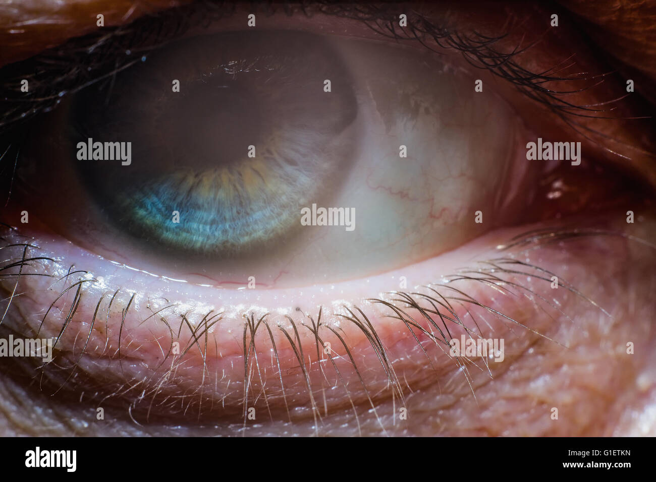 Female human eye close up hi-res stock photography and images - Alamy