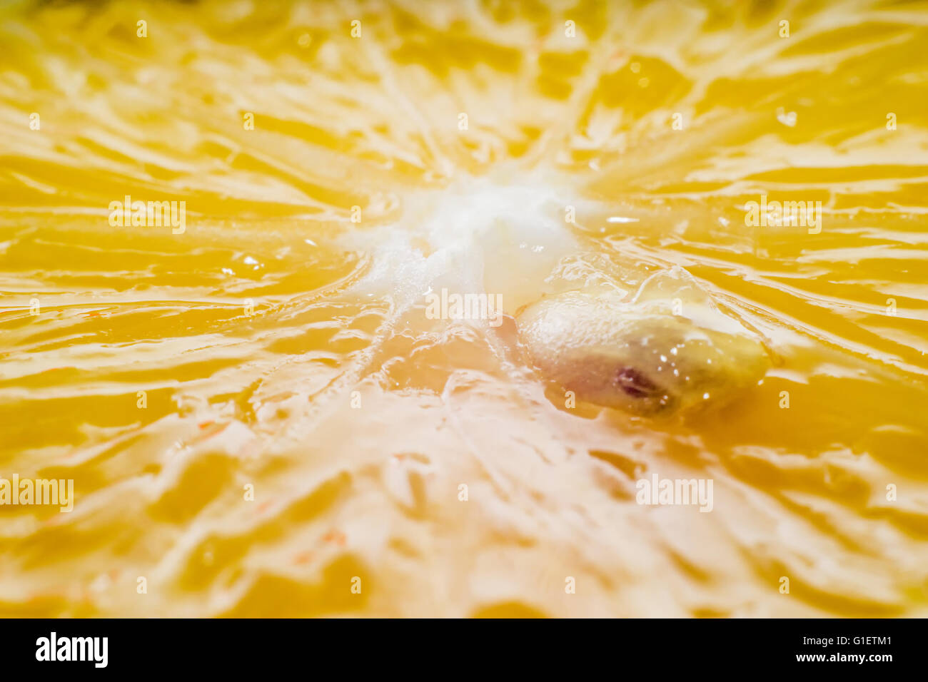 Photo lemon hi-res stock photography and images - Alamy