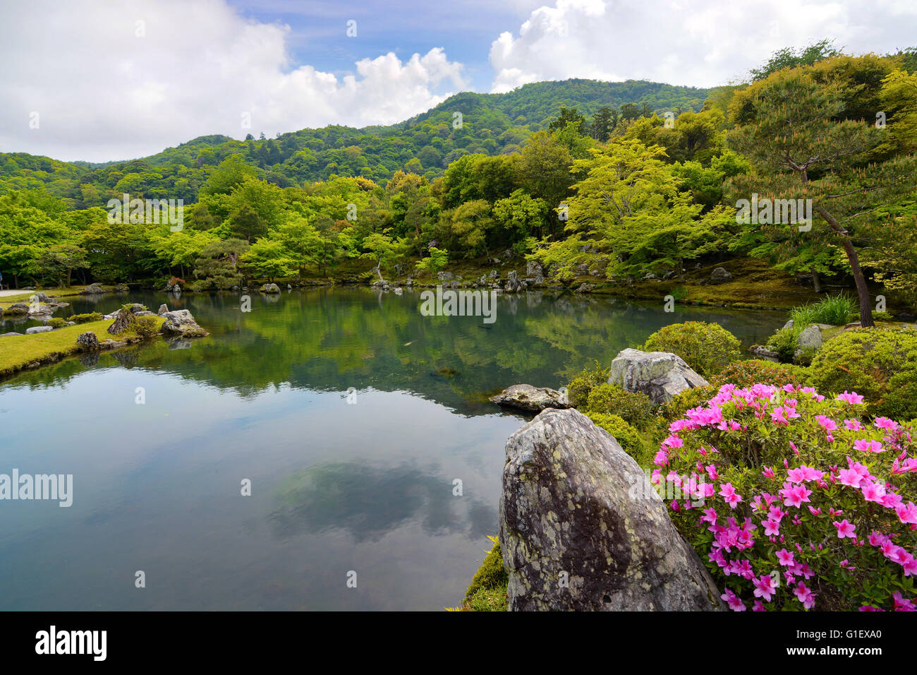 Japanese Water Garden Pink