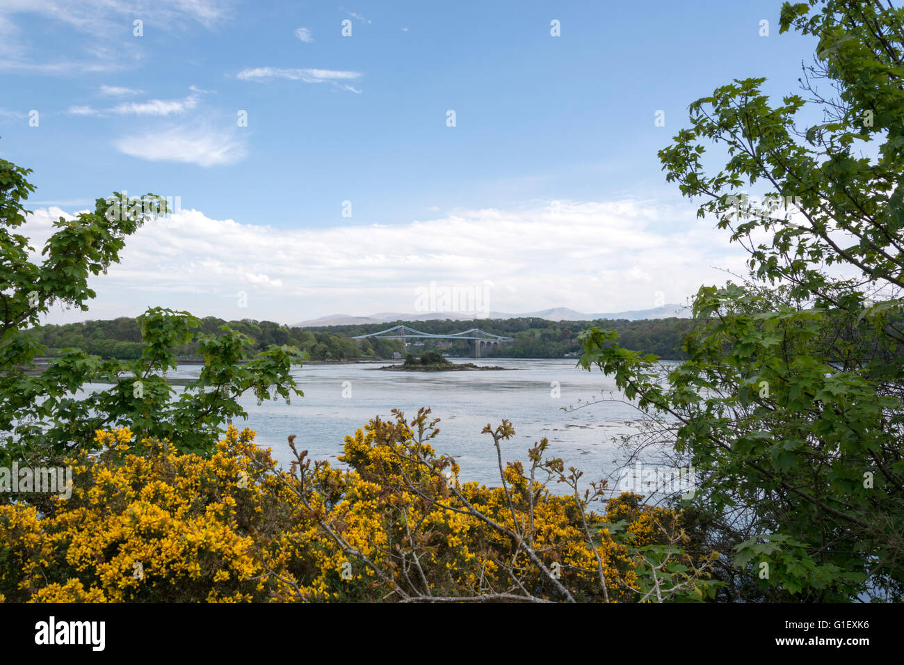 Menai straights bridge hi-res stock photography and images - Alamy