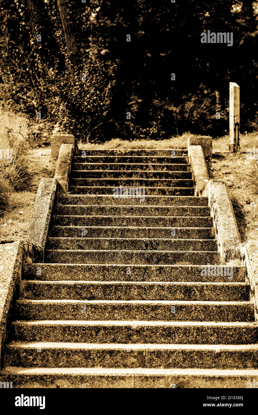 Steps To Nowhere High Resolution Stock Photography and Images - Alamy