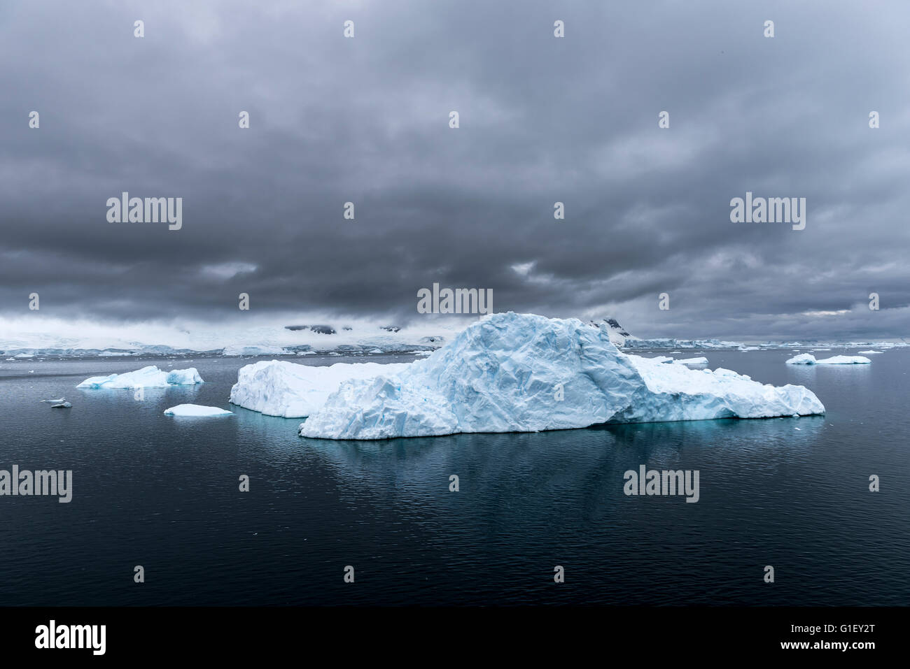 Floating ice Neko Harbour Antarctic Peninsula Antarctica Stock Photo ...