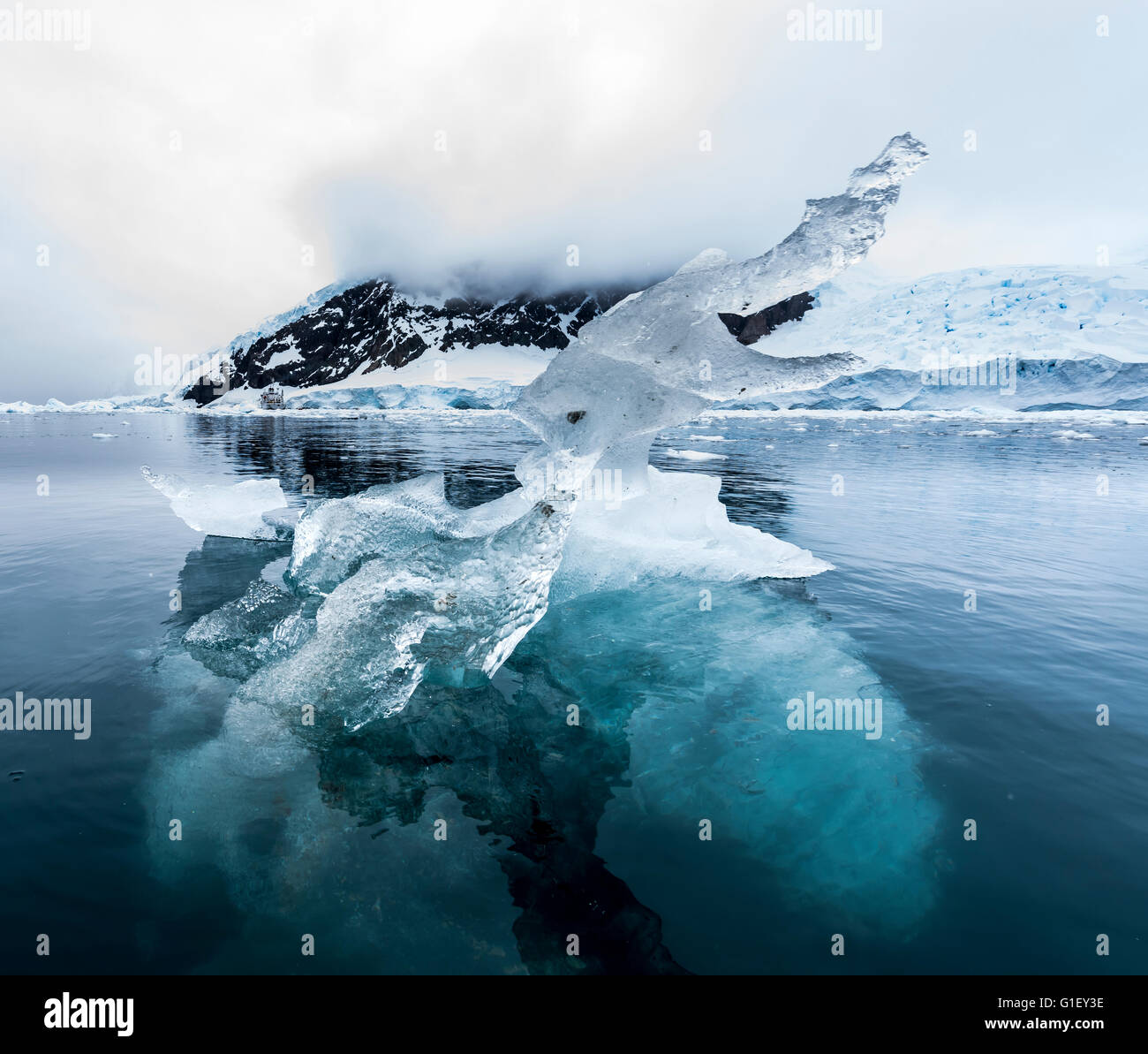 Floating ice Neko Harbour Antarctic Peninsula Antarctica Stock Photo ...