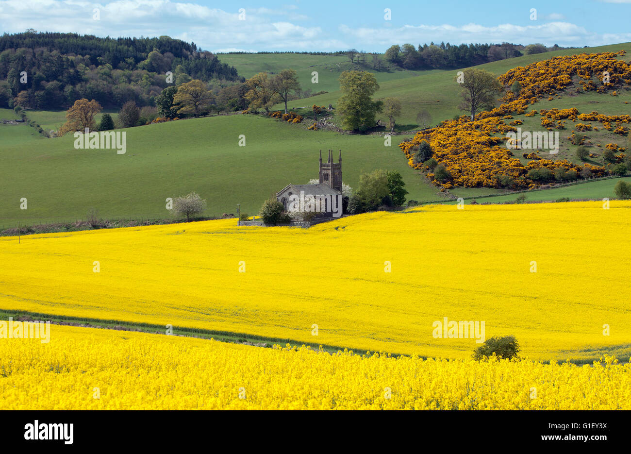 Brunton fife hi-res stock photography and images - Alamy