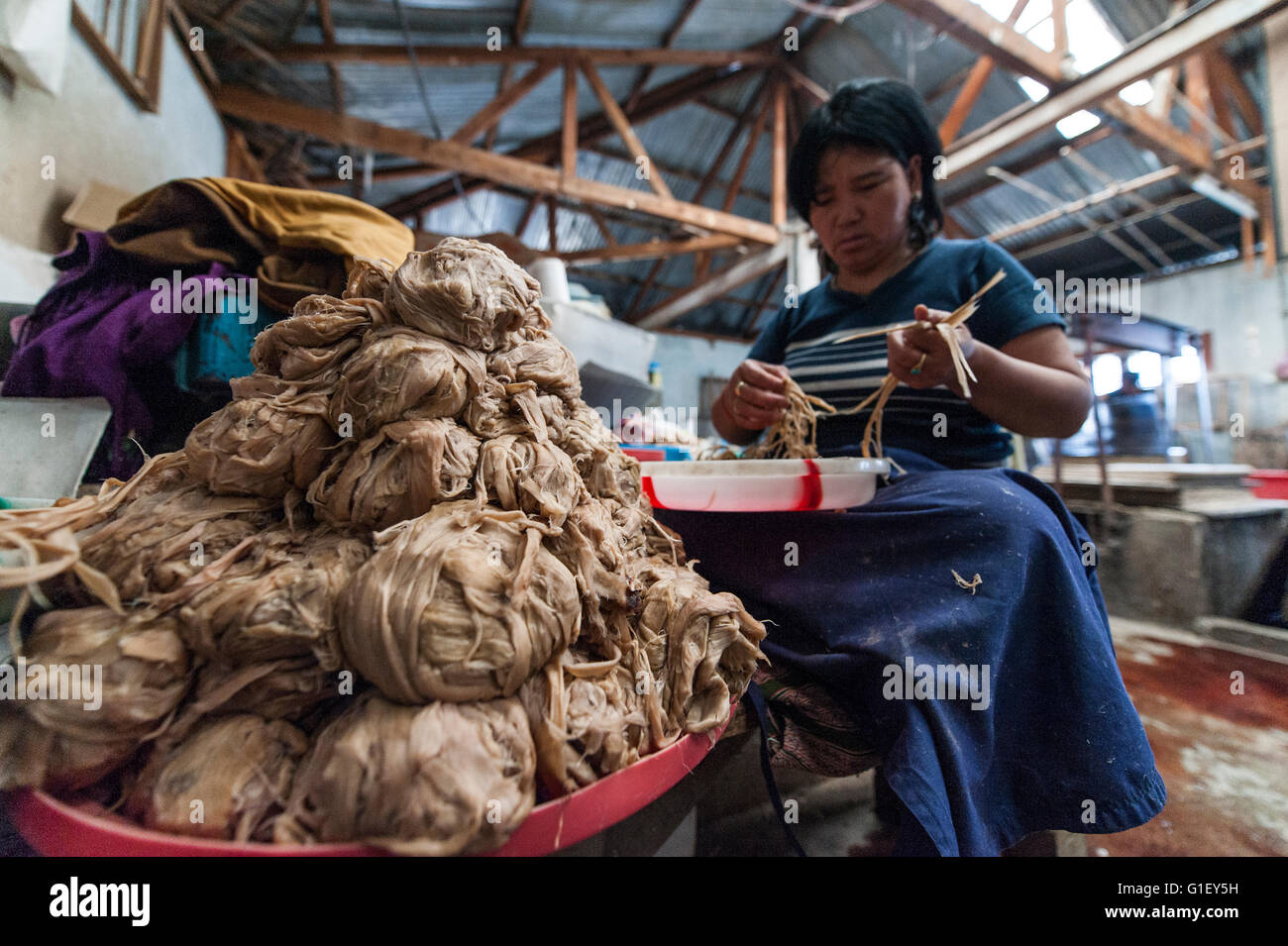 Woman working at paper making factory Thimpu (country capital) Bhutan ...