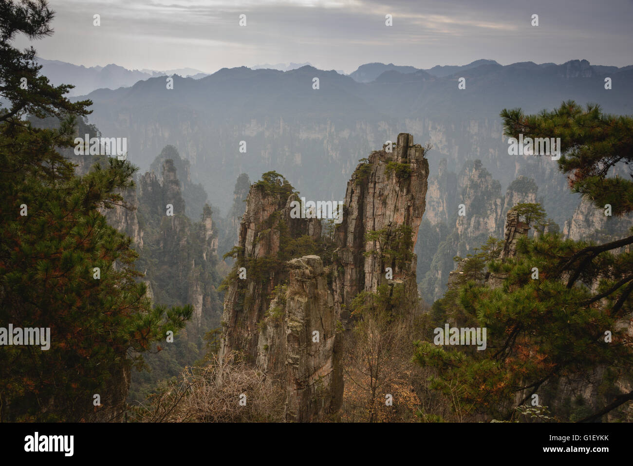 Thin cliffs in the Tianzishan scenic area of Zhangjiajie in China Stock ...