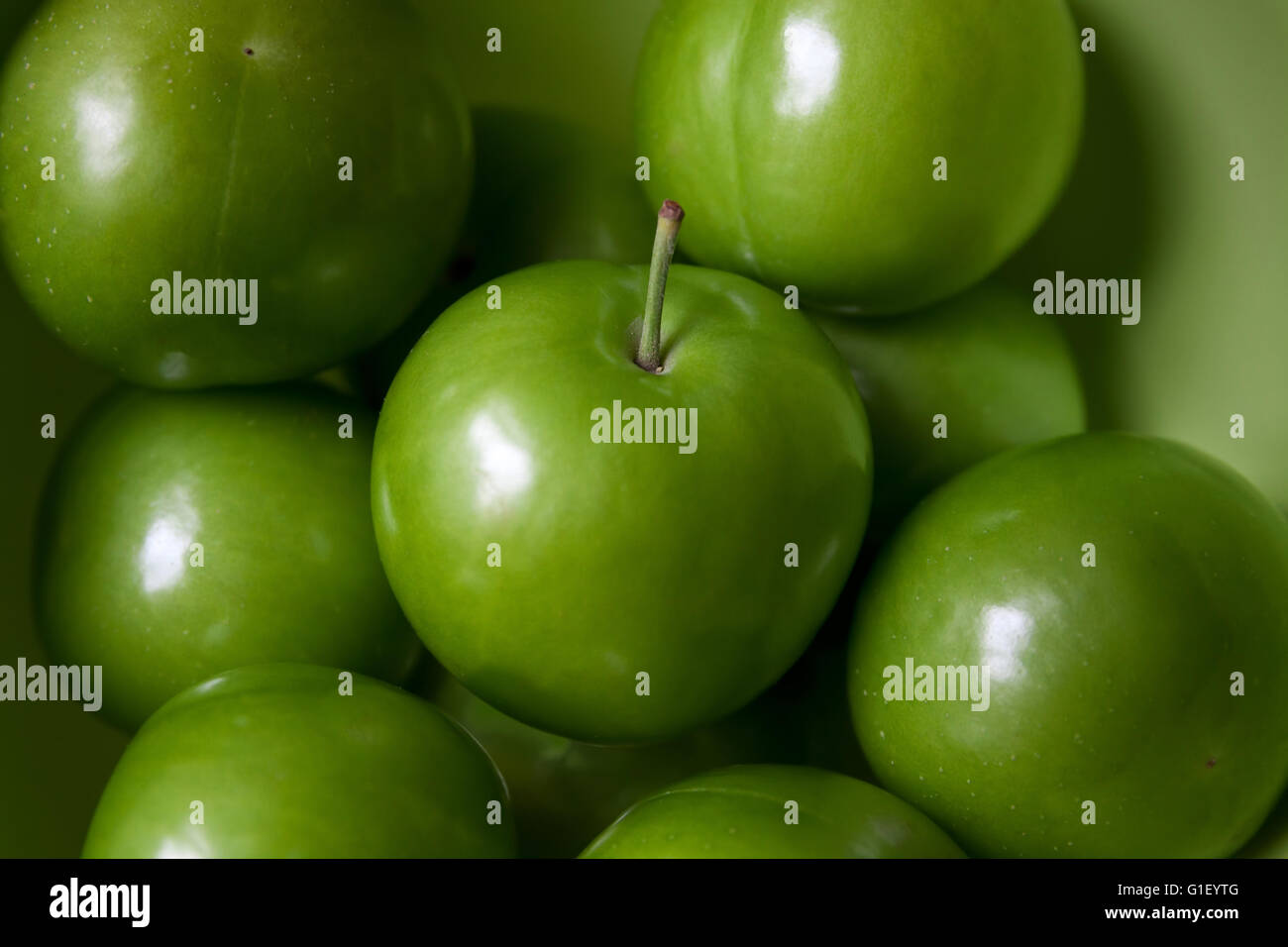 Erik Fruit Hi-res Stock Photography And Images Alamy, 54% OFF Erik Fruit Hi-res Stock Photography And Images Alamy, 54% OFF