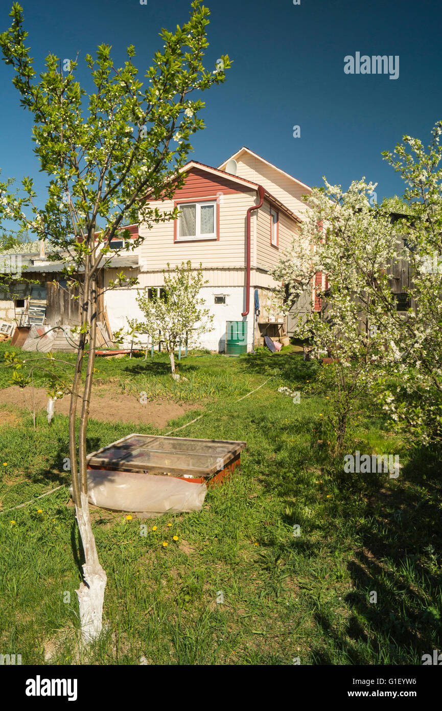 Beside flowering plum tree hi-res stock photography and images - Alamy