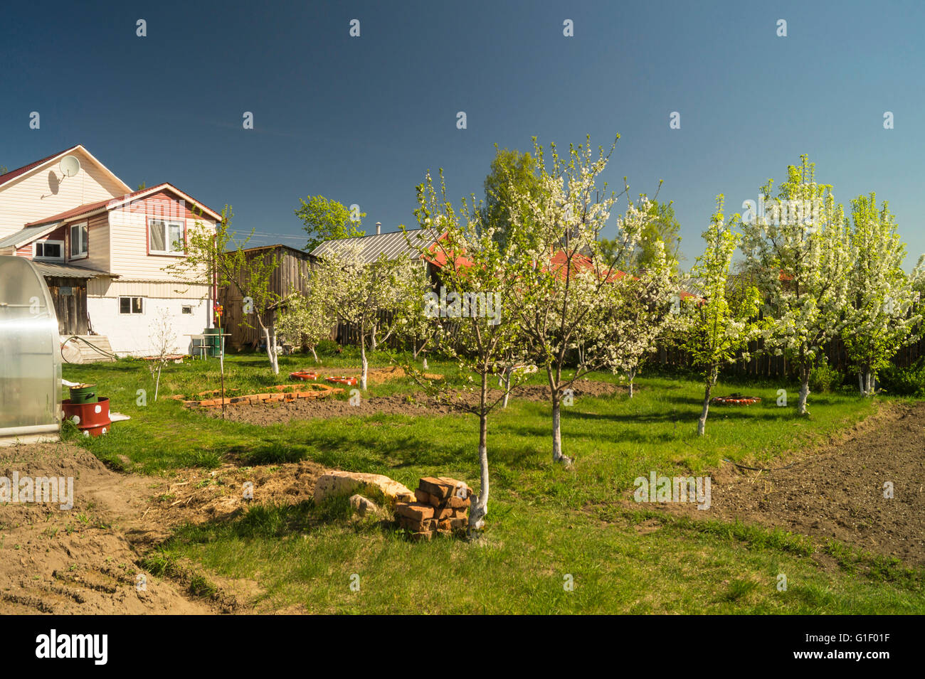 Beside flowering plum tree hi-res stock photography and images - Alamy