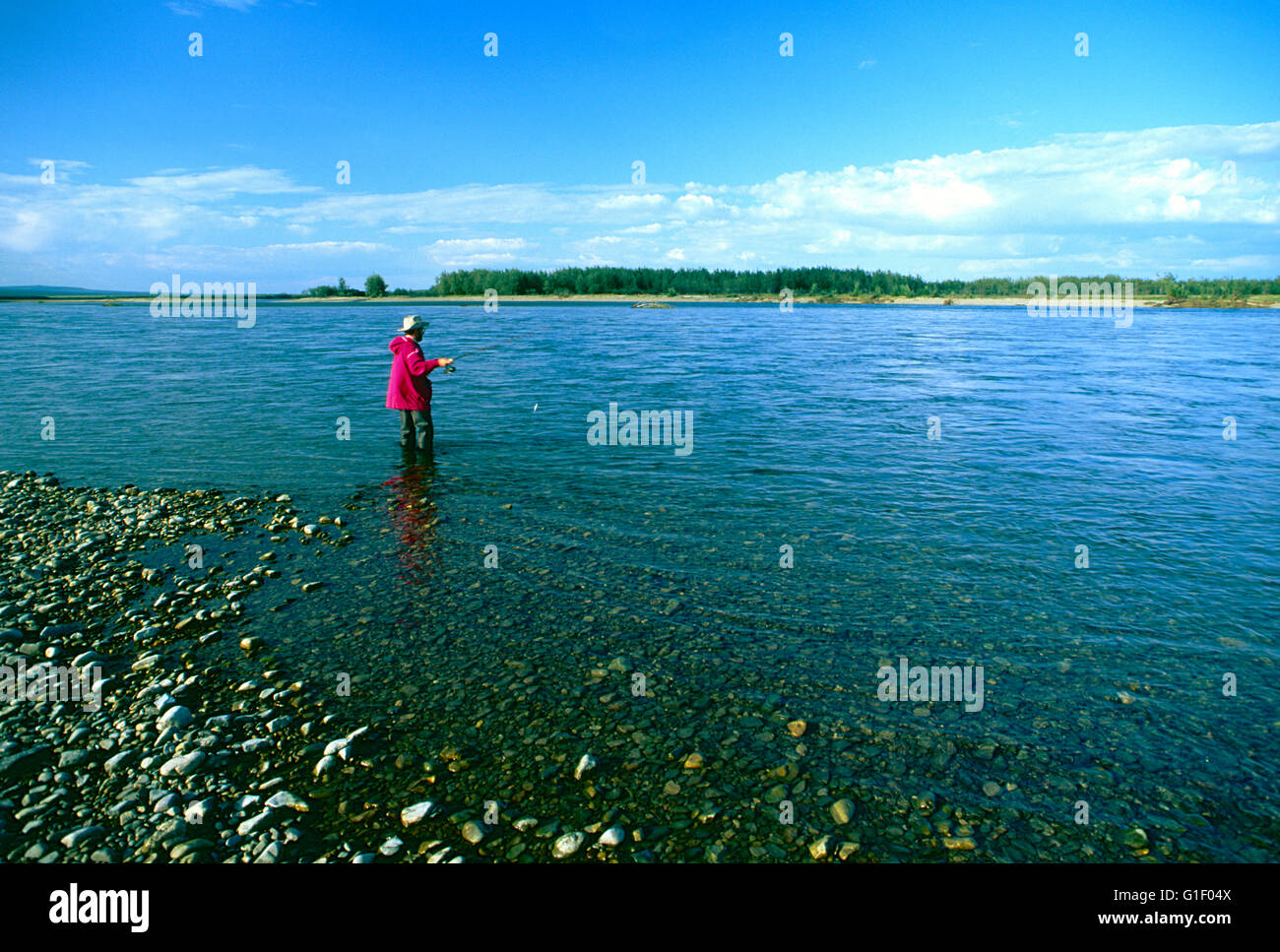 AMERICAN ADVENTURE TRAVELER FISHING FOR GREYLING; SIBERIA; CHUKCHI ...