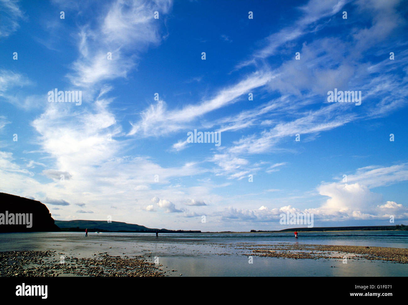 Greyling fish hi-res stock photography and images - Alamy