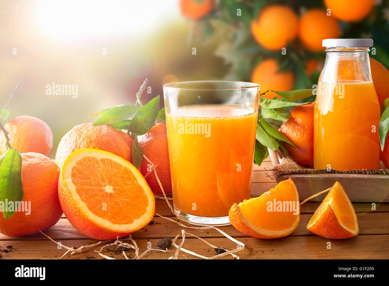 Tree juice hi-res stock photography and images - Alamy