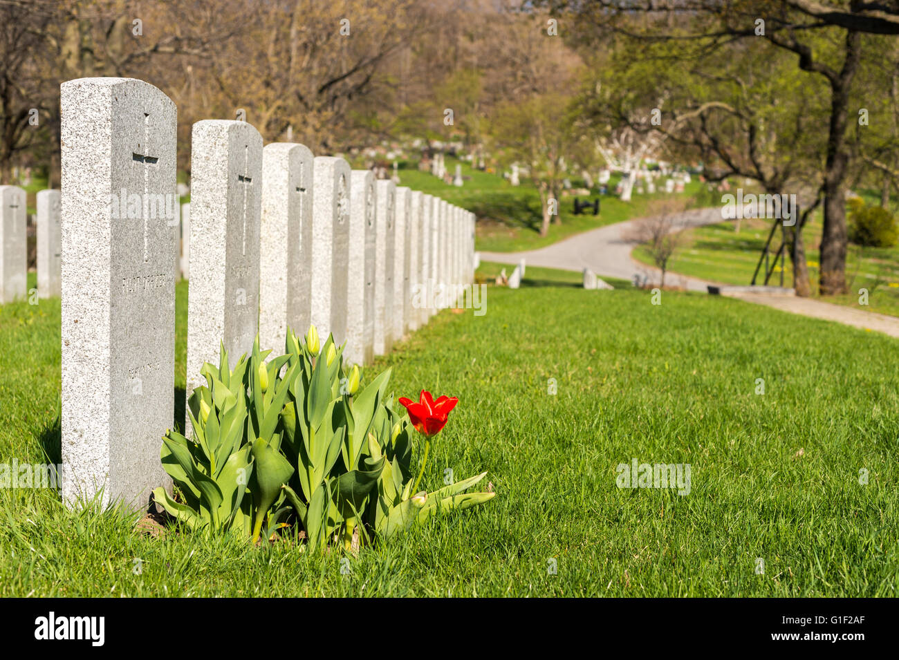 American soldier cemetery hi-res stock photography and images - Alamy