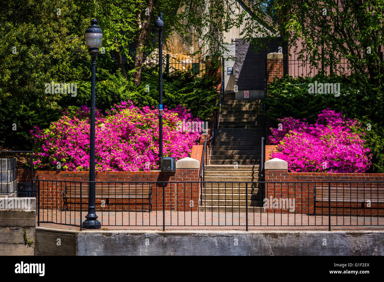 Spring color along the Riverfront Canal Walk in Richmond, Virginia ...