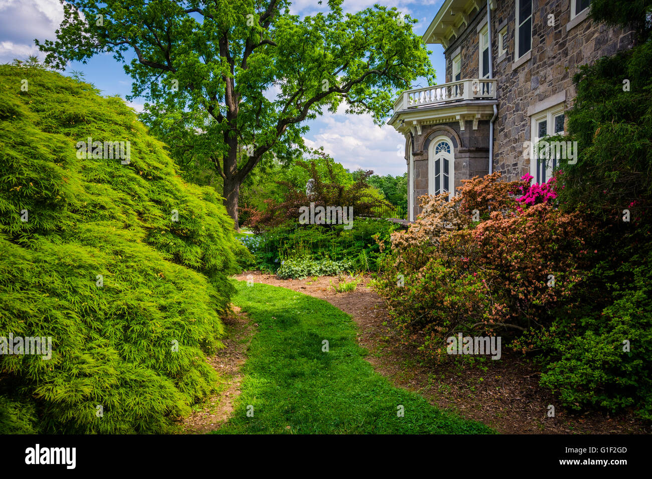 Trees and bushes behind the Cylburn Mansion at Cylburn Arboretum ...