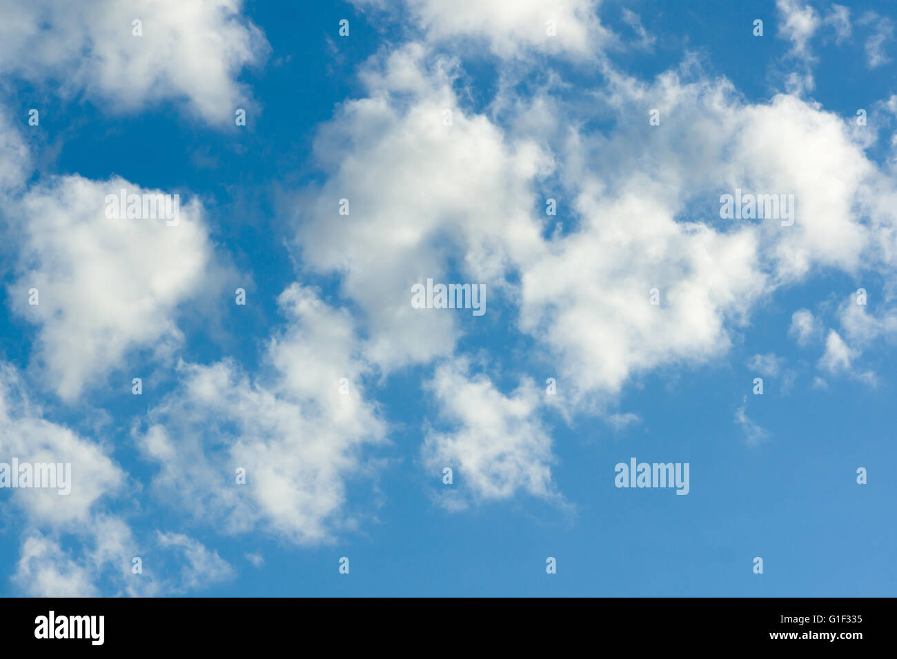 white light clouds float across the blue sky Stock Photo - Alamy