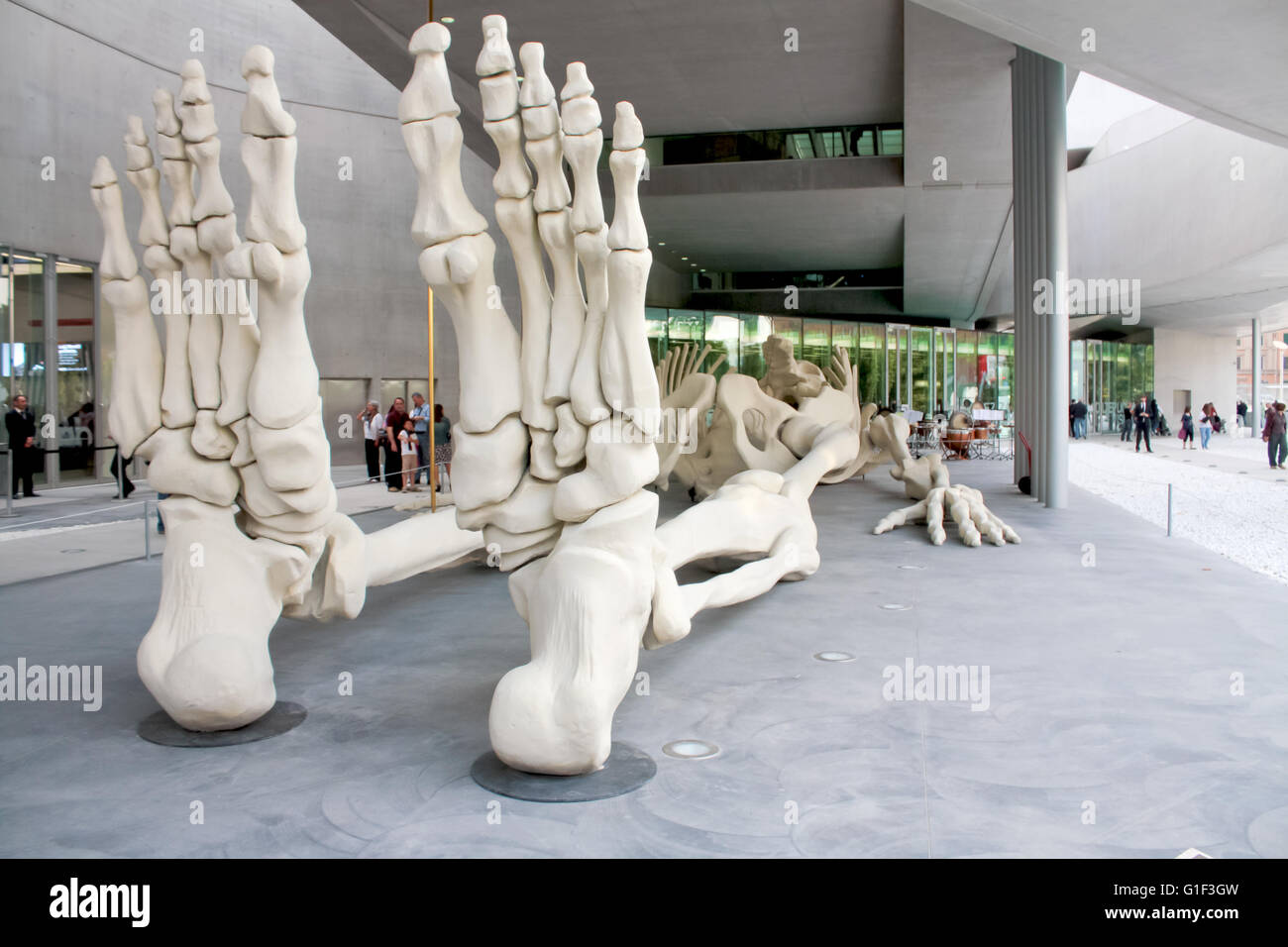 Museum human anatomy italy hi-res stock photography and images - Alamy