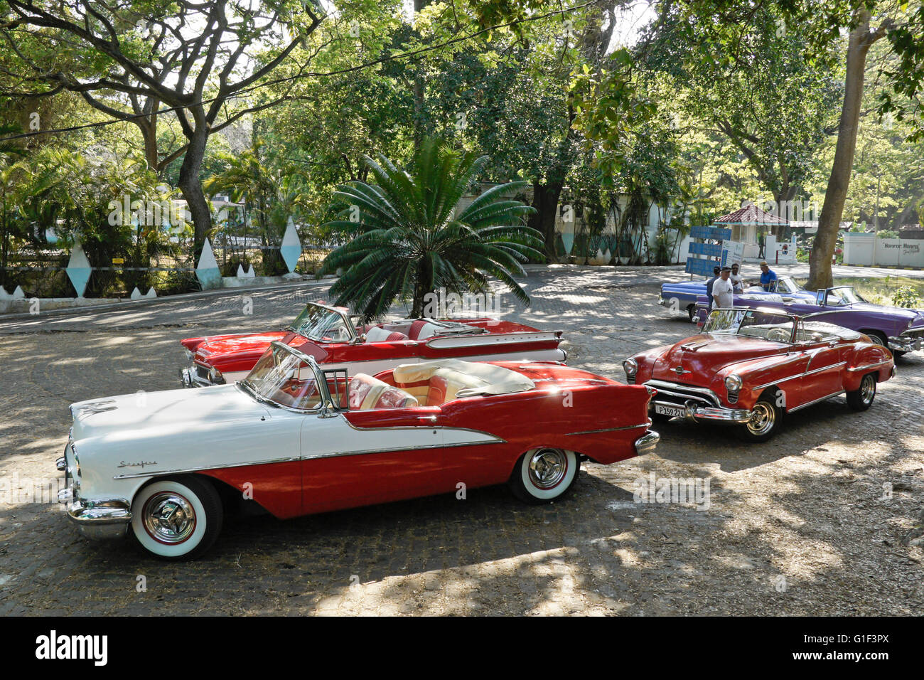 Classic American convertibles in Parque Almendares, Havana, Cuba Stock ...