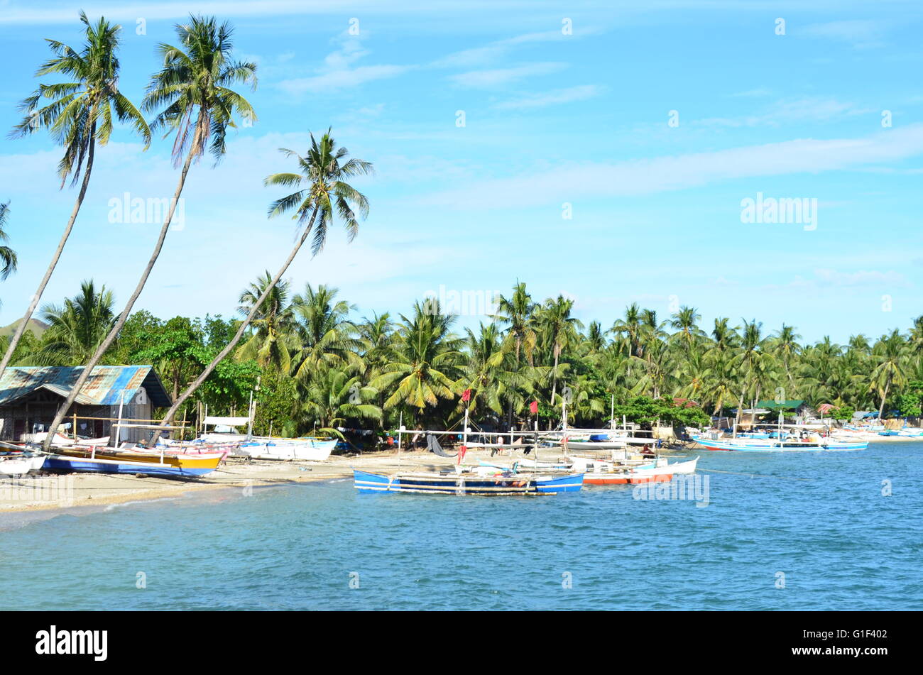 Tropical beach in the Philippines Stock Photo - Alamy
