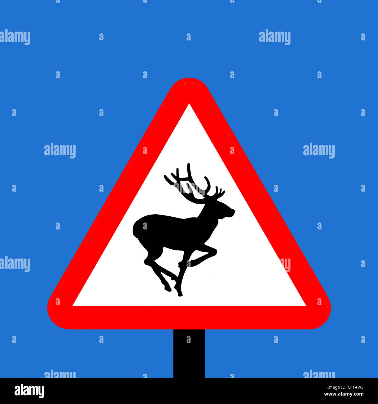 Warning triangle Wild animals sign Stock Photo - Alamy
