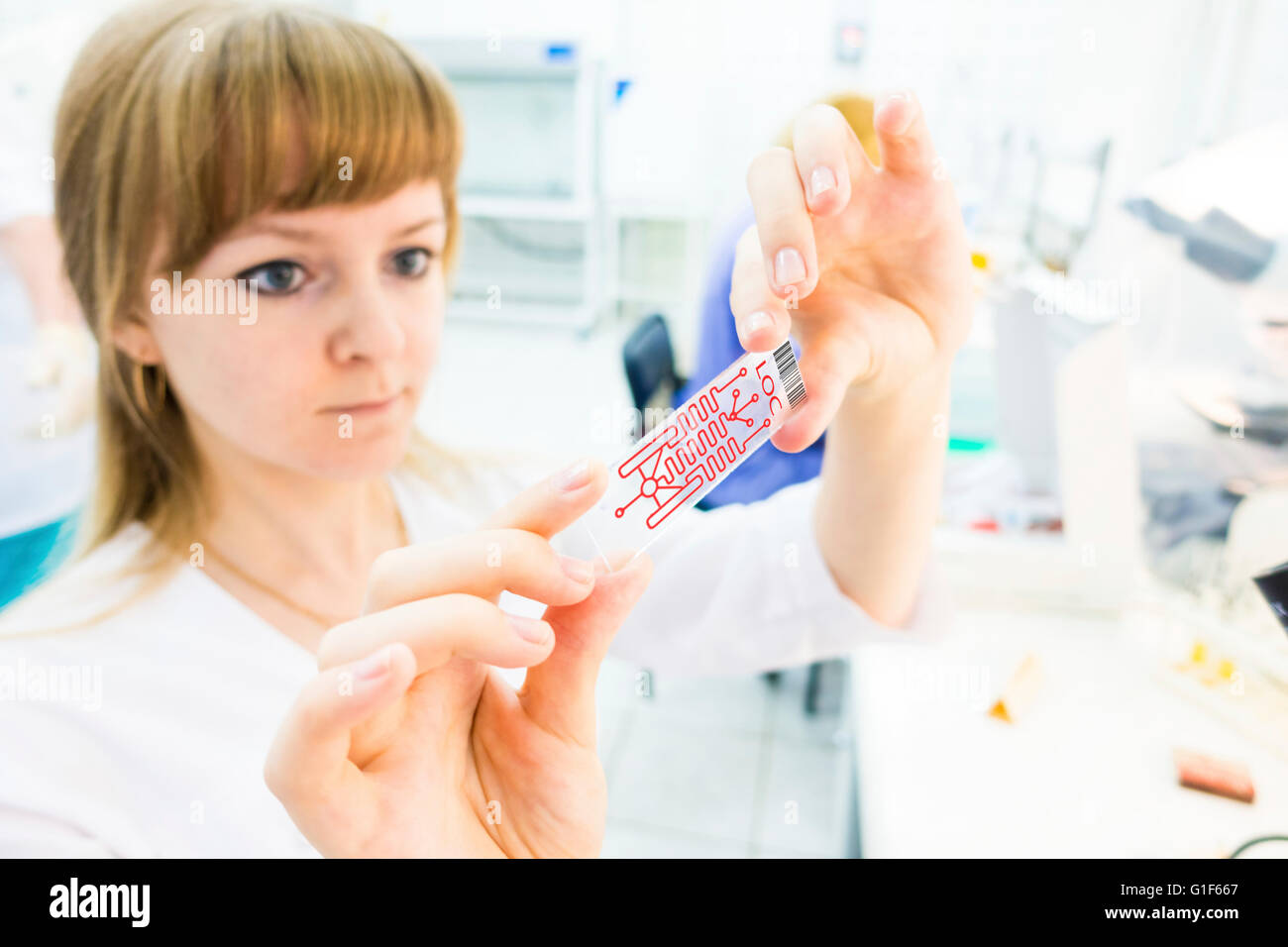 MODEL RELEASED. Female lab technician holding a lab on a chip Stock ...