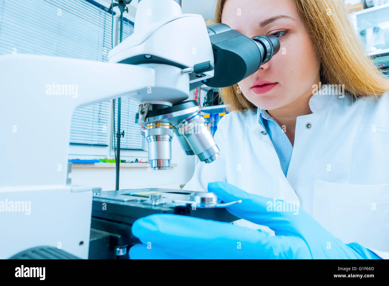 MODEL RELEASED. Female lab technician using microscope Stock Photo - Alamy
