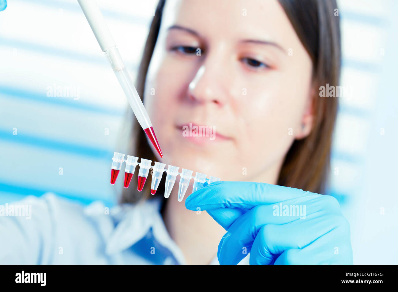 MODEL RELEASED. Female lab technician using pipette and micro tubes ...