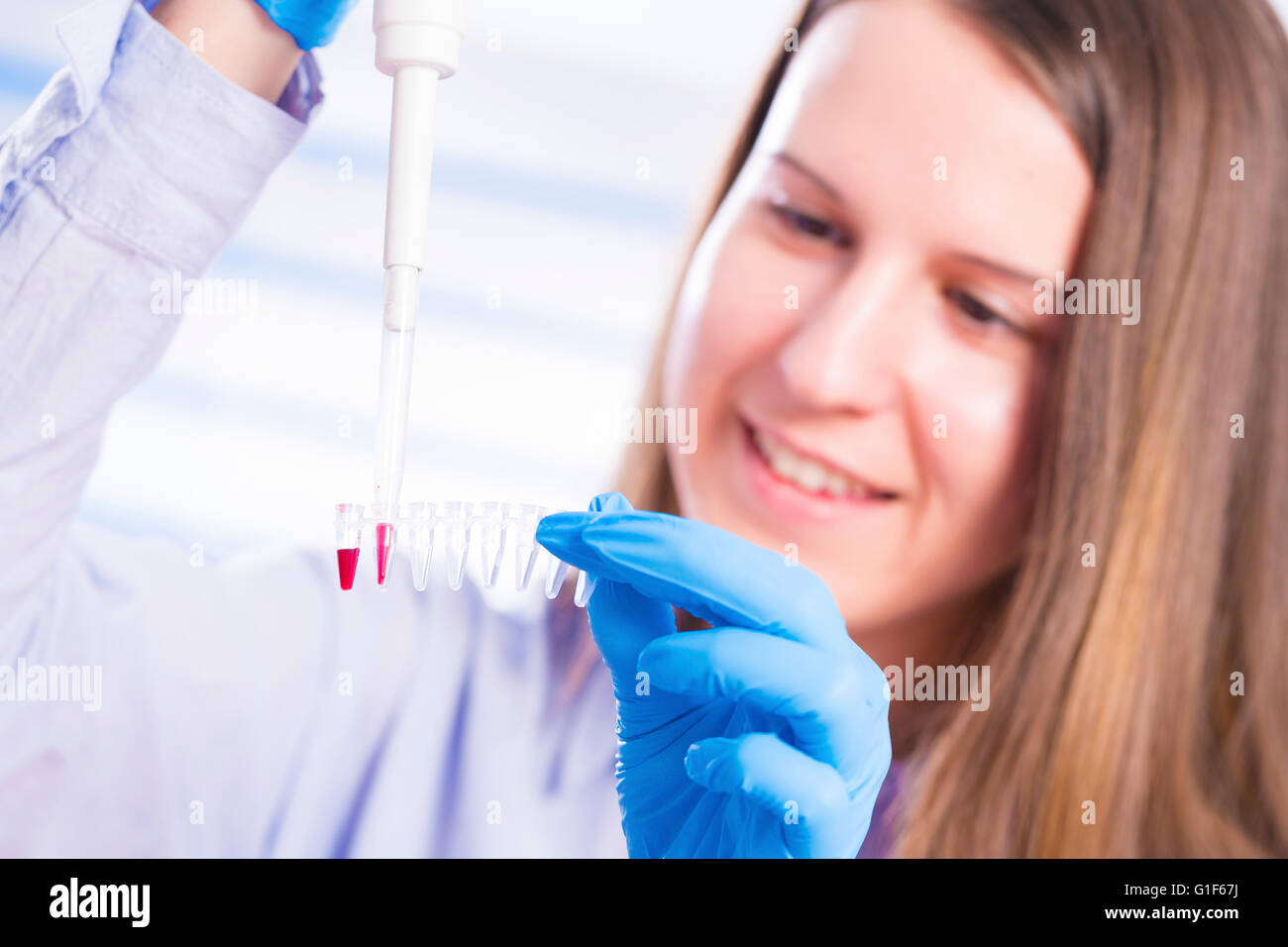MODEL RELEASED. Female lab technician using pipette and micro tubes ...