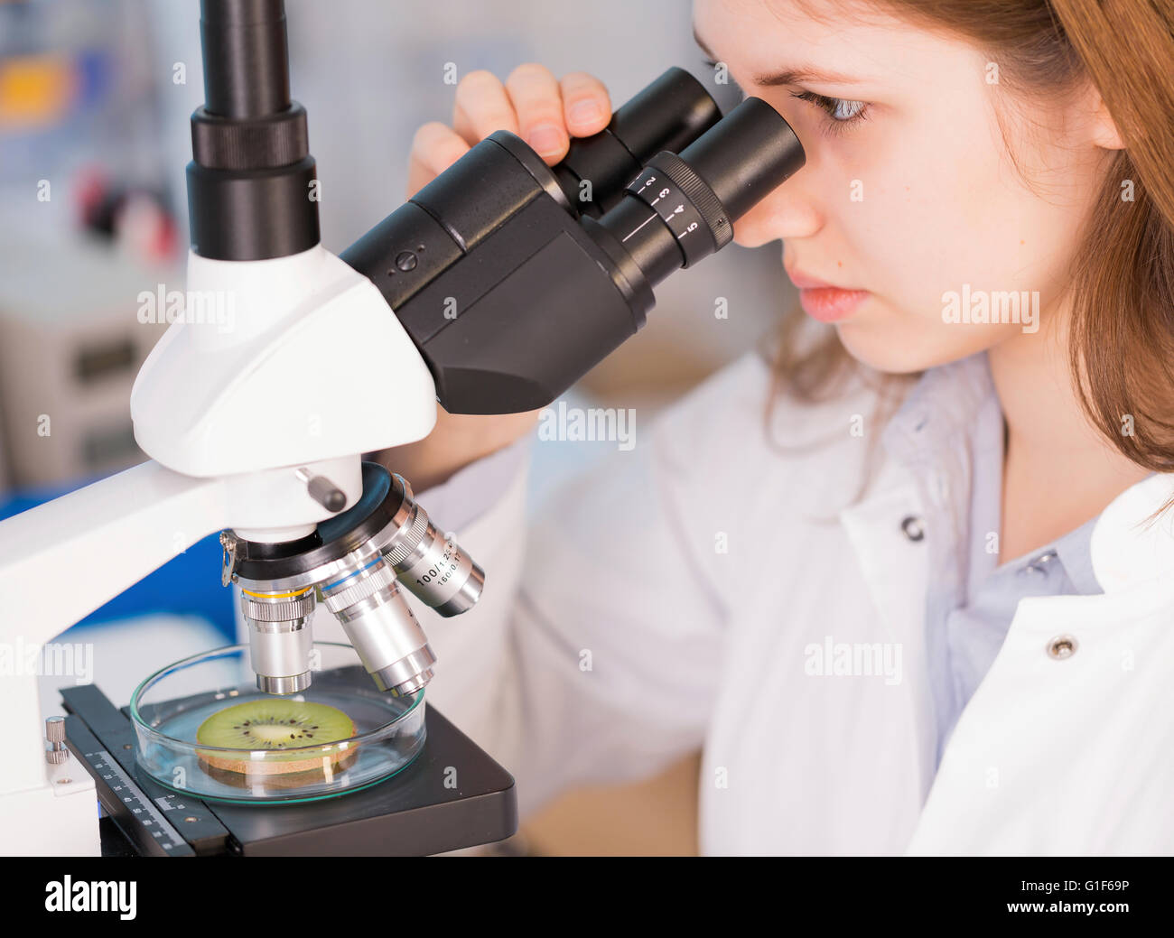 MODEL RELEASED. Female lab technician using microscope to study kiwi ...