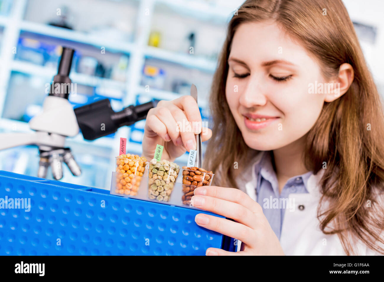MODEL RELEASED. Female lab technician testing legumes in the laboratory ...