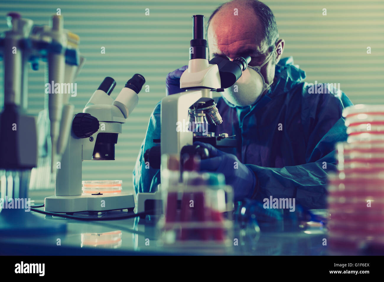 MODEL RELEASED. Person using microscope in a microbiology laboratory ...