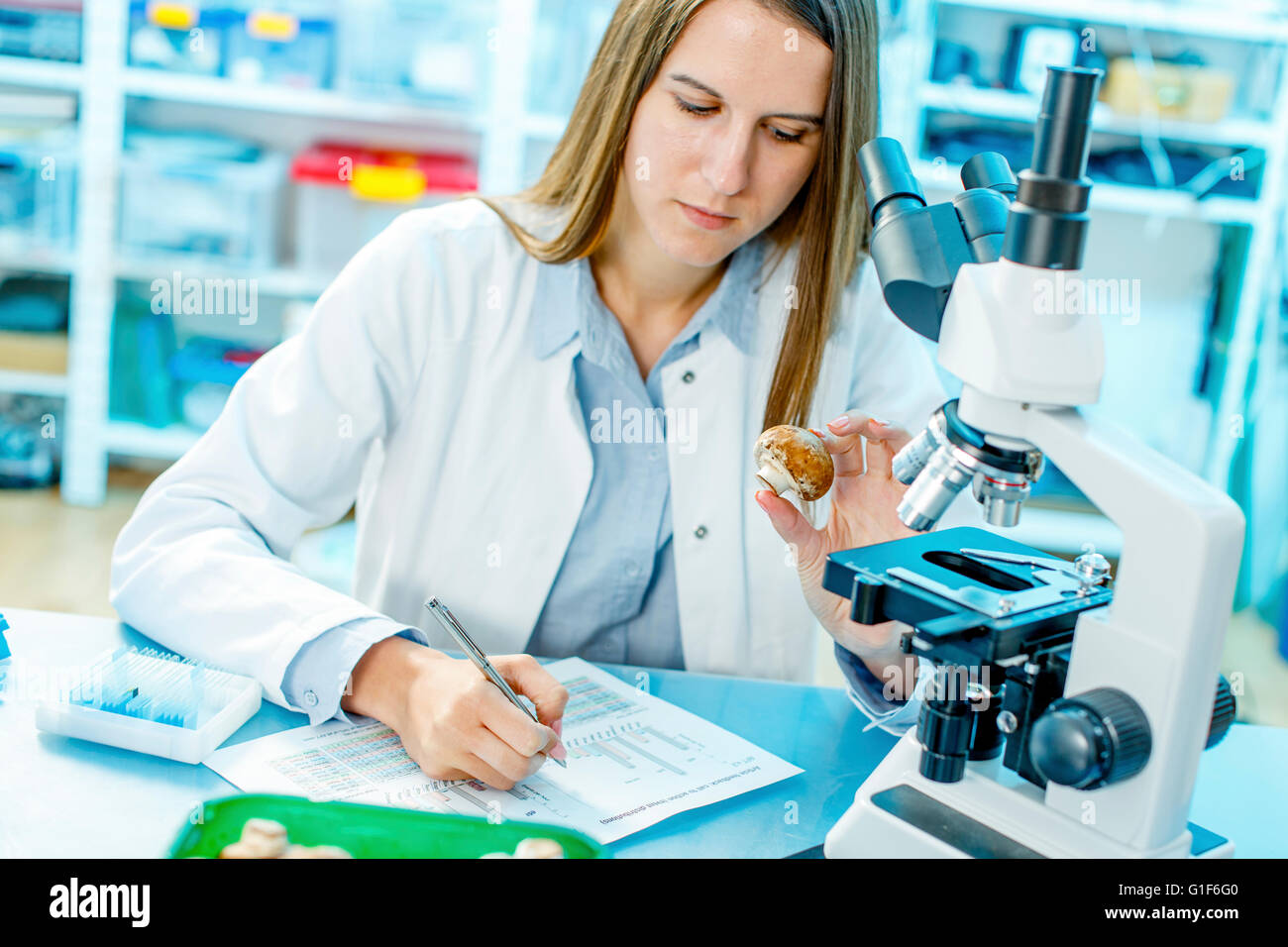 Scientist making lab research hi-res stock photography and images - Alamy