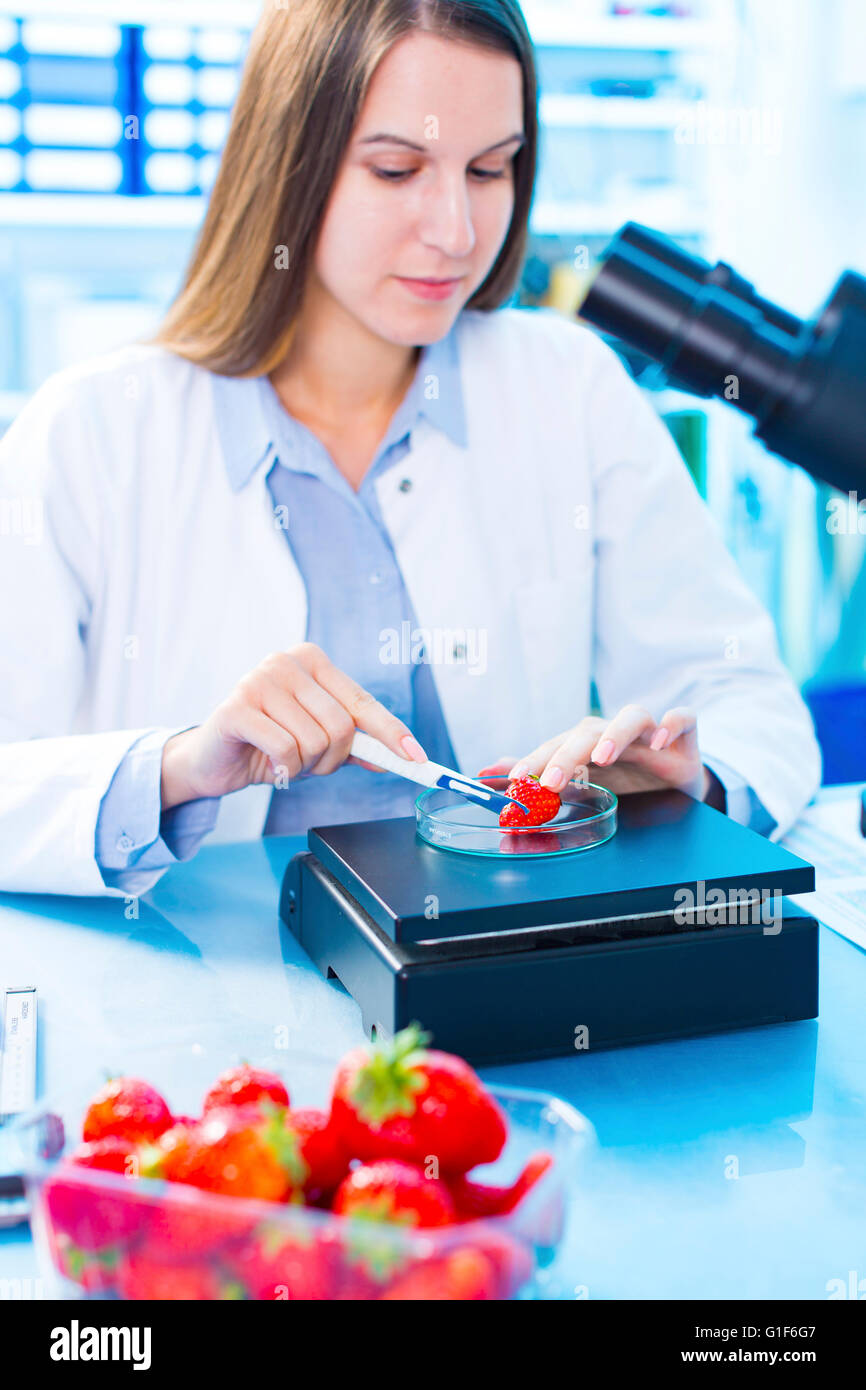 Strawberries in laboratory hi-res stock photography and images - Alamy