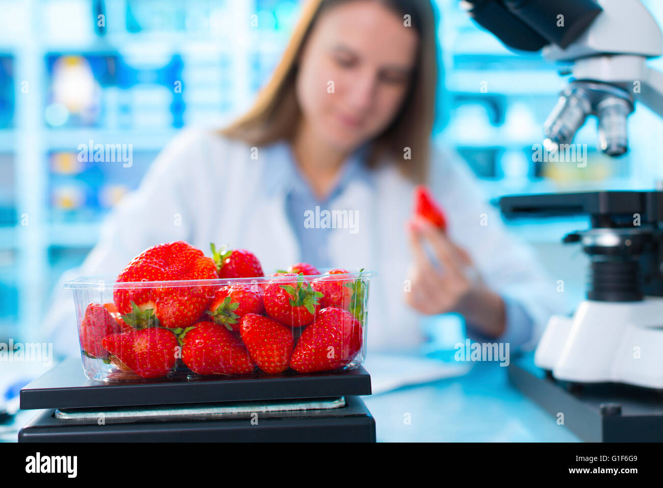 Strawberries in laboratory hi-res stock photography and images - Alamy