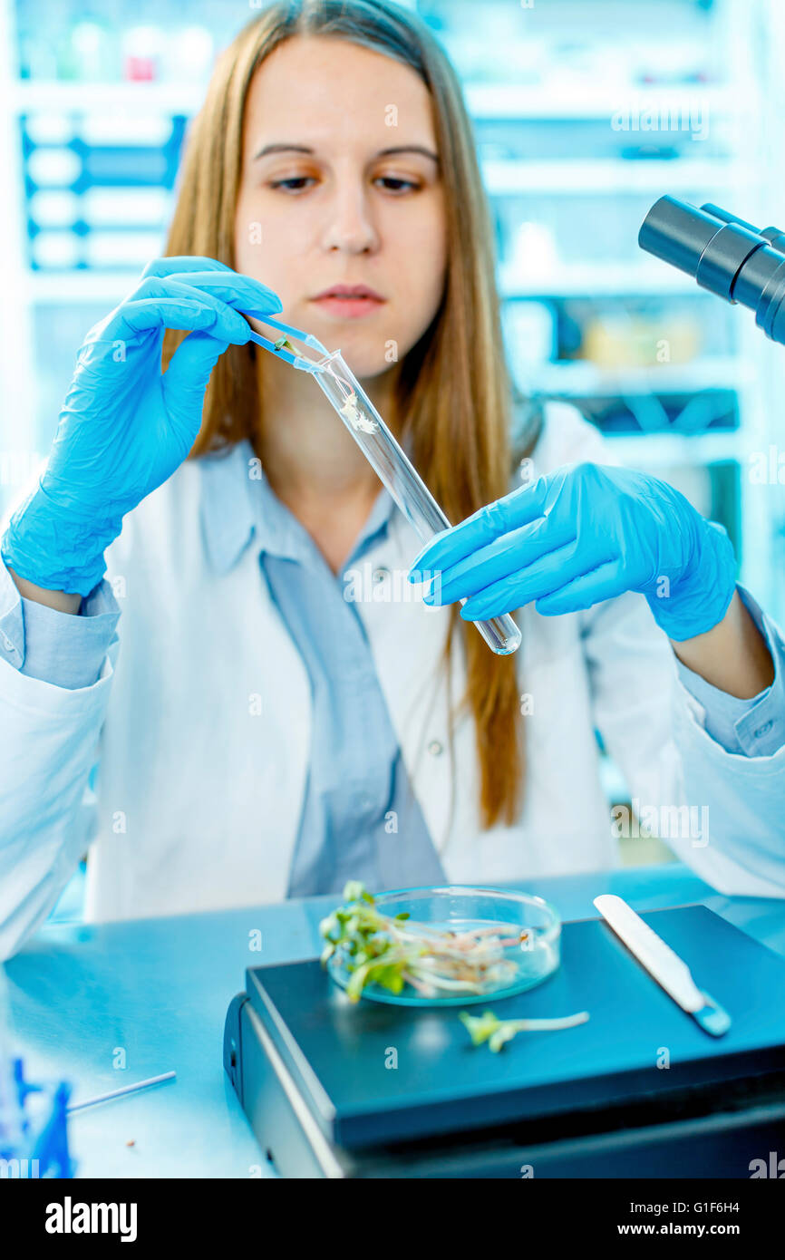 Female biologist in laboratory holding hi-res stock photography and ...