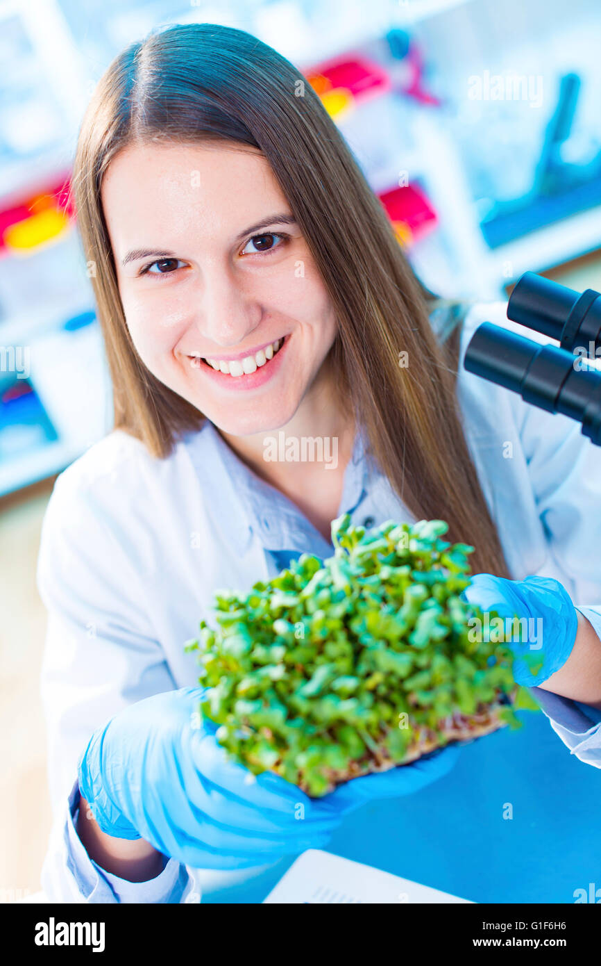 MODEL RELEASED. Female biologist holding tray of seedlings Stock Photo ...