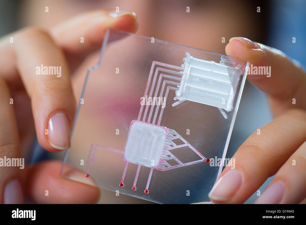 Lab on a chip hi-res stock photography and images - Alamy