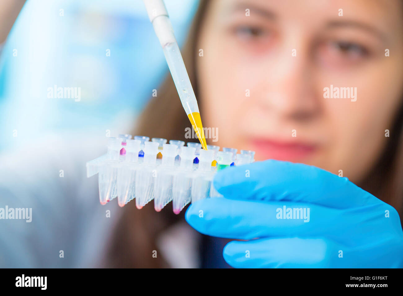 MODEL RELEASED. Female laboratory technician holding test tubes and a ...