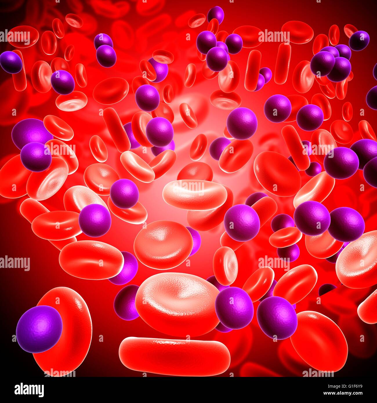 Red blood cell bacteria hi-res stock photography and images - Alamy