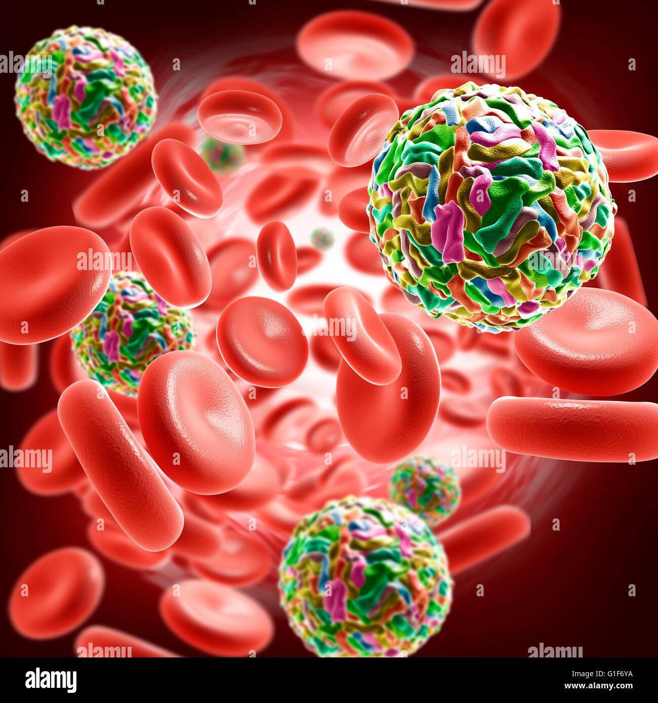 Dengue fever hi-res stock photography and images - Alamy