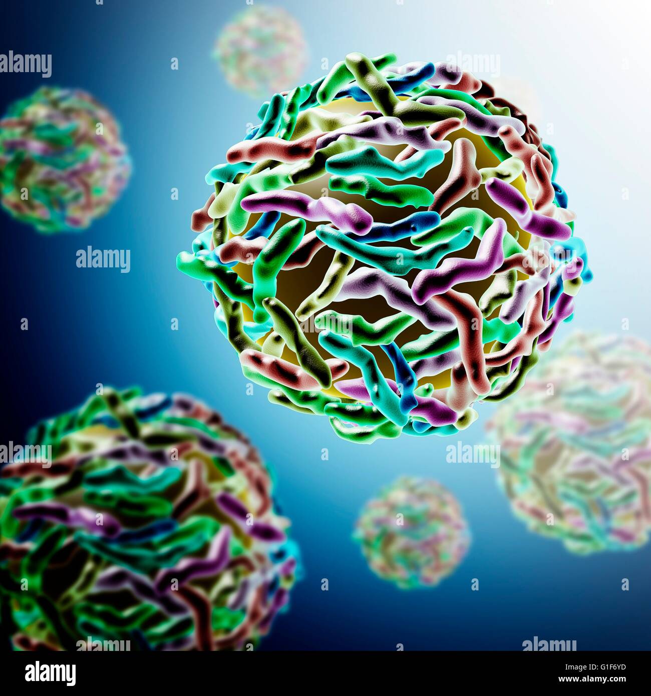 Papilloma virus, illustration Stock Photo - Alamy