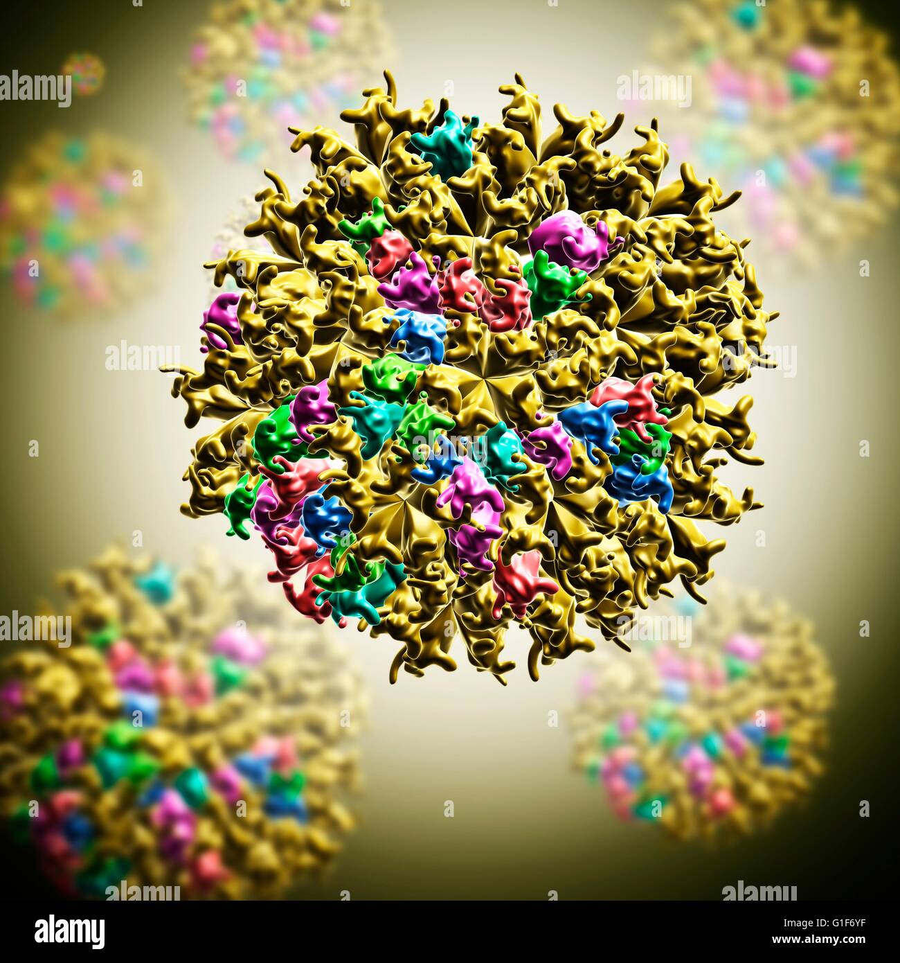 Mosaic virus hi-res stock photography and images - Alamy