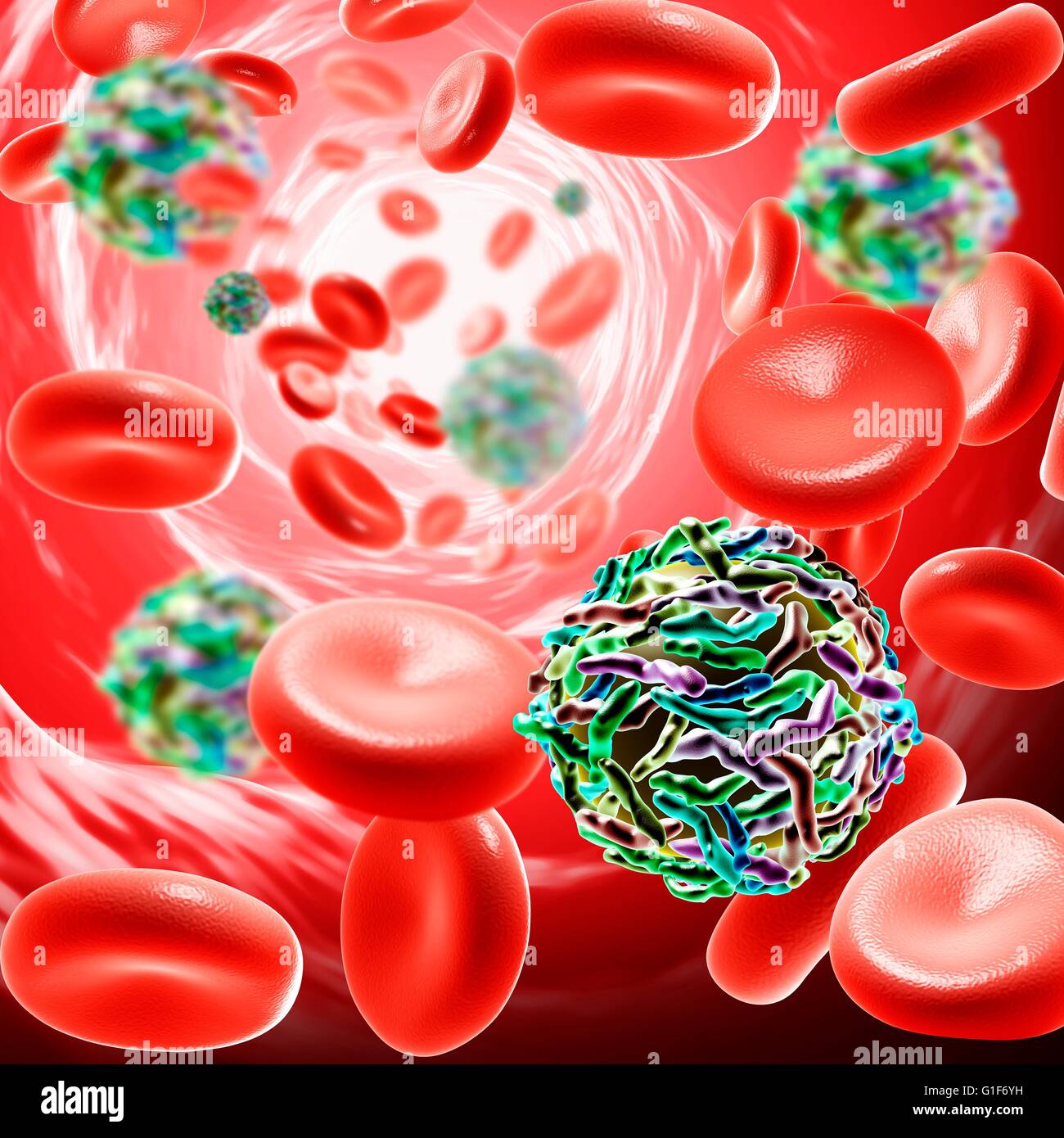 Papilloma virus, illustration Stock Photo - Alamy