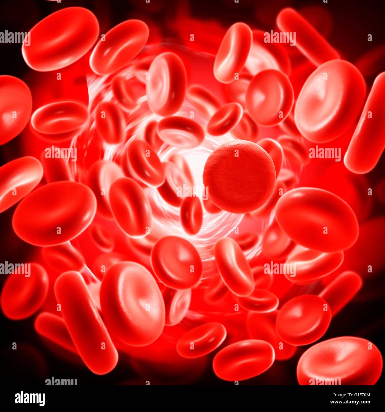 Normal red blood cell hi-res stock photography and images - Alamy