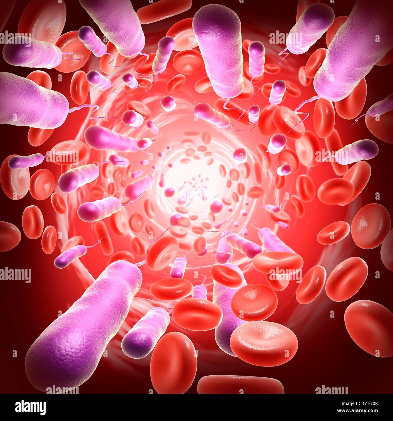 E. coli bacteria, illustration Stock Photo - Alamy