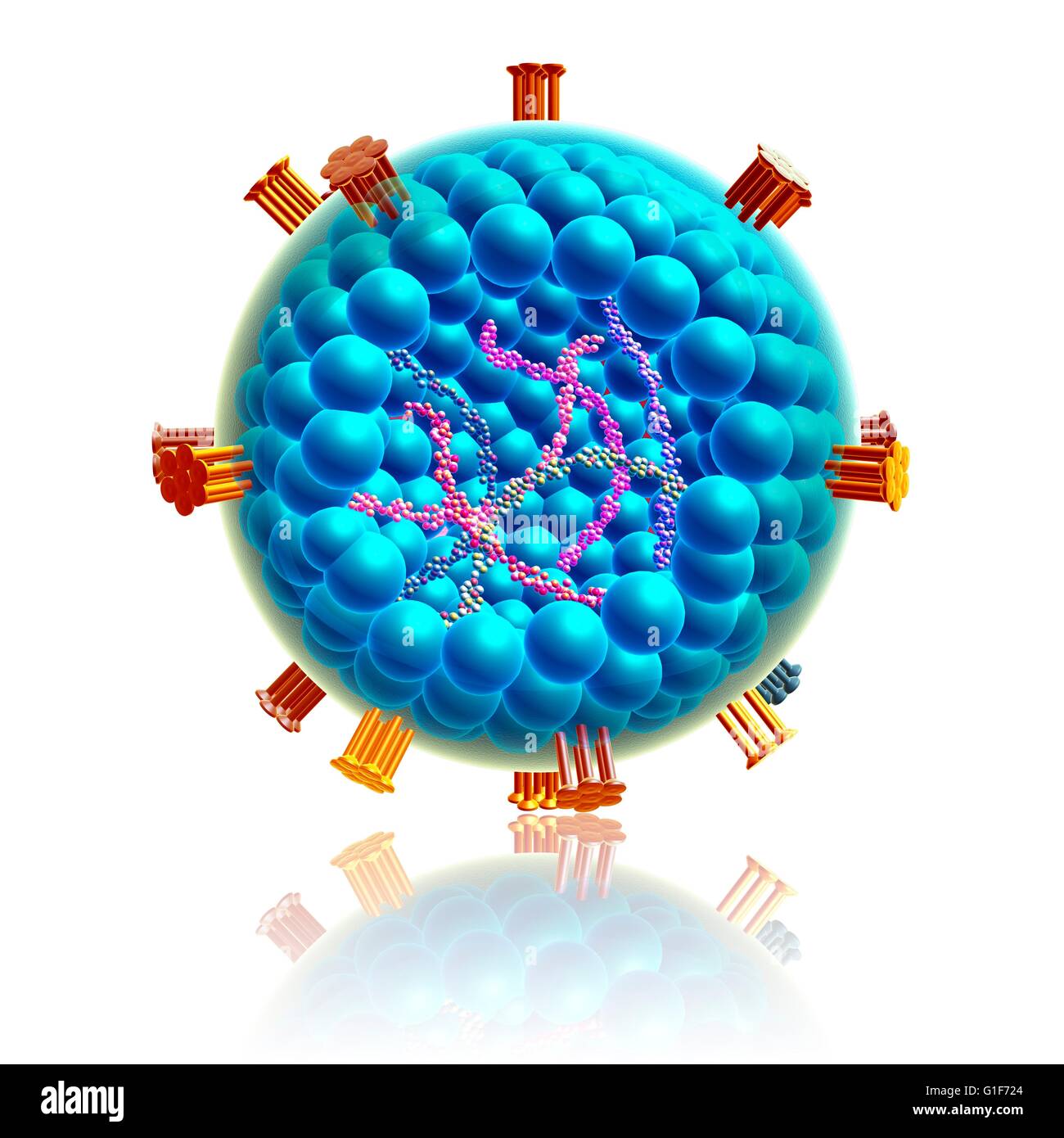 Hiv particle Cut Out Stock Images & Pictures - Alamy