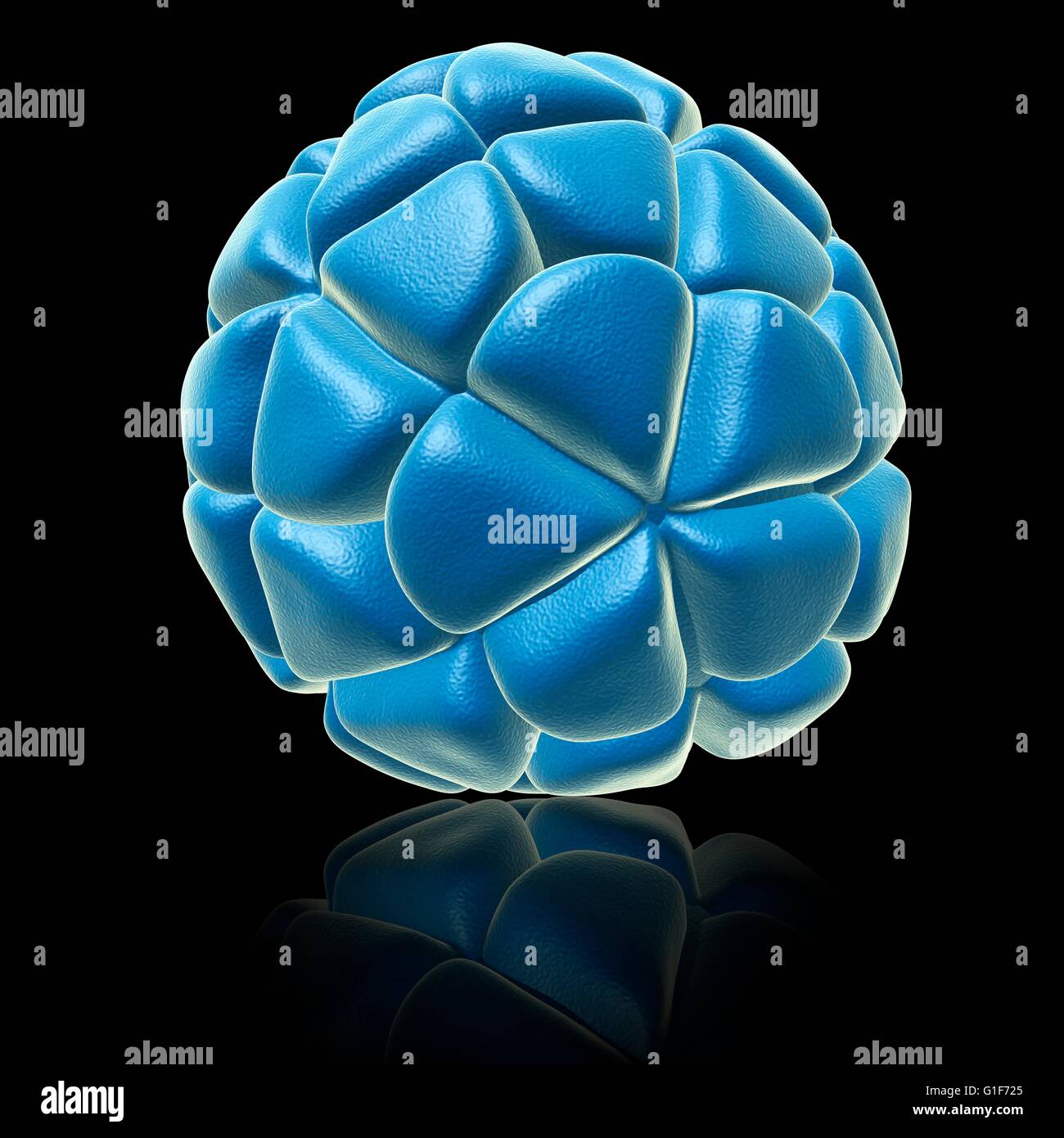 Satellite tobacco necrosis virus, illustration Stock Photo - Alamy