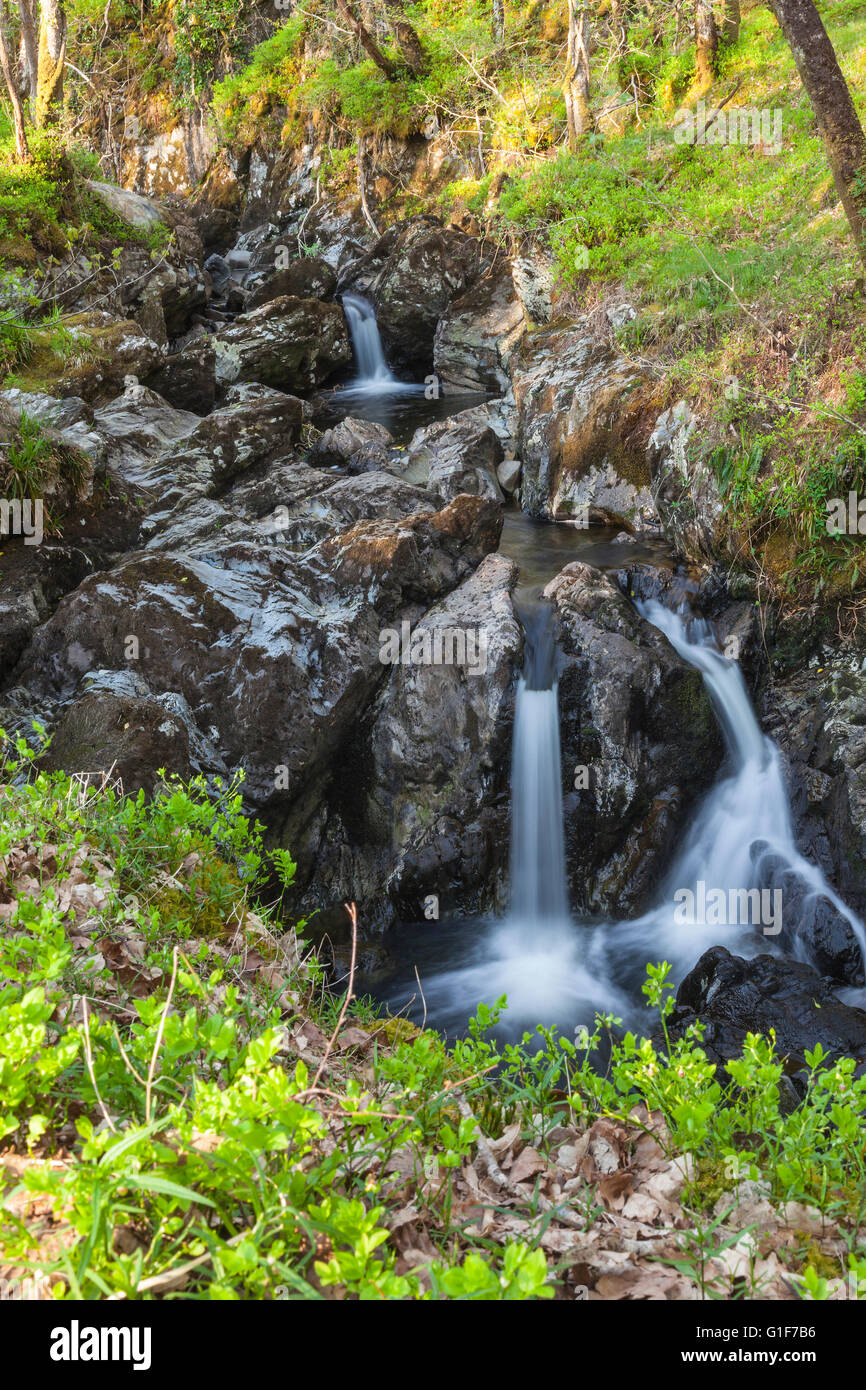 Waterfalls in a stream flowing through the RSPB Wood of Cree Nature ...