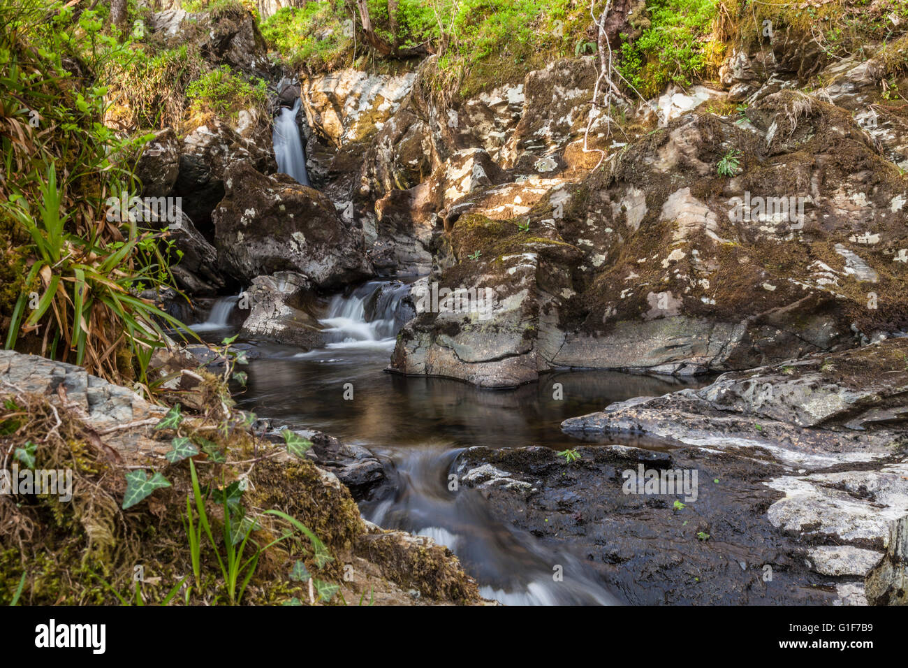 Moss of cree hi-res stock photography and images - Alamy
