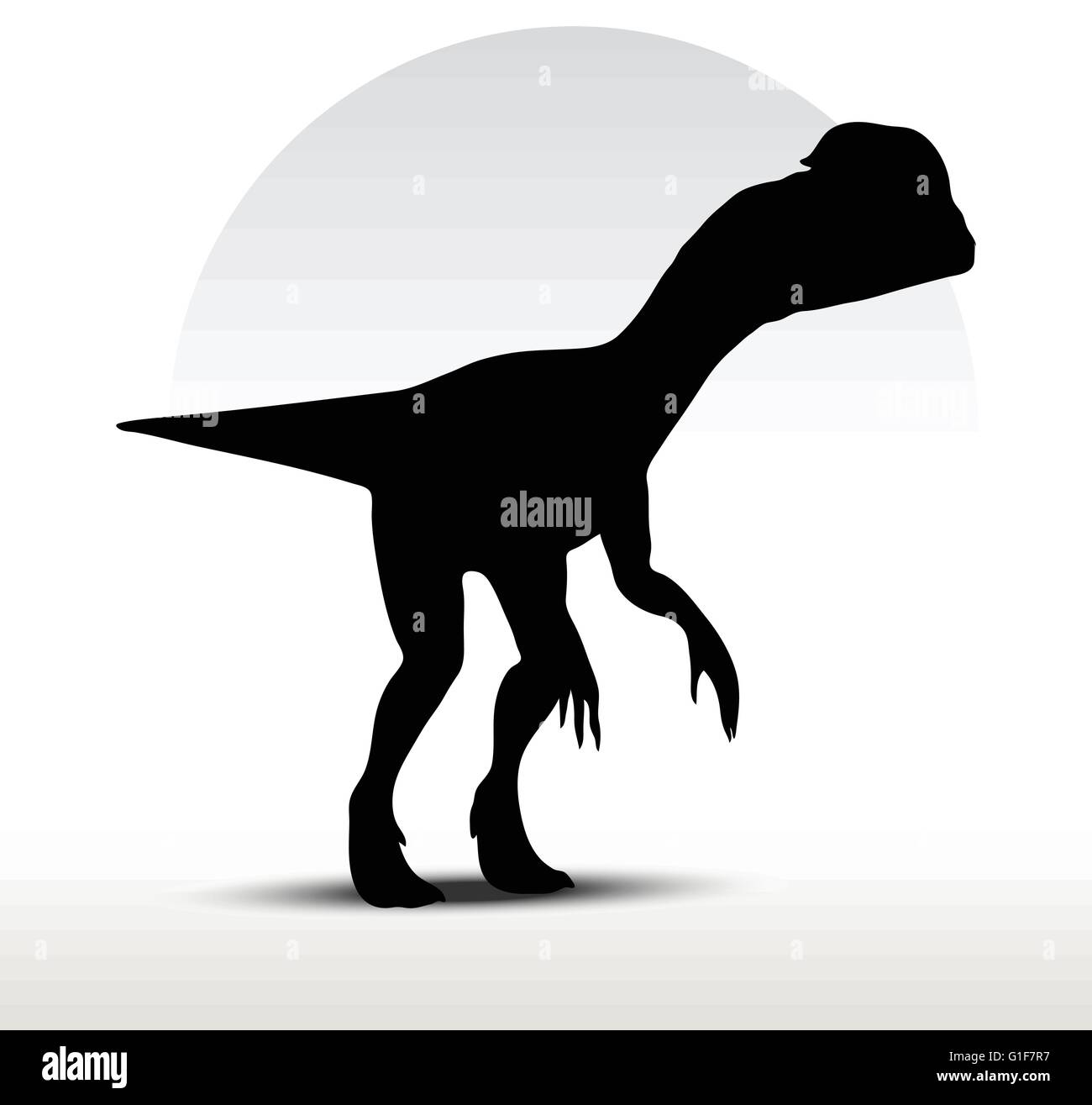 Vector Image - dinosaurs dilophosaurus isolated on white background Stock Vector Image & Art - Alamy